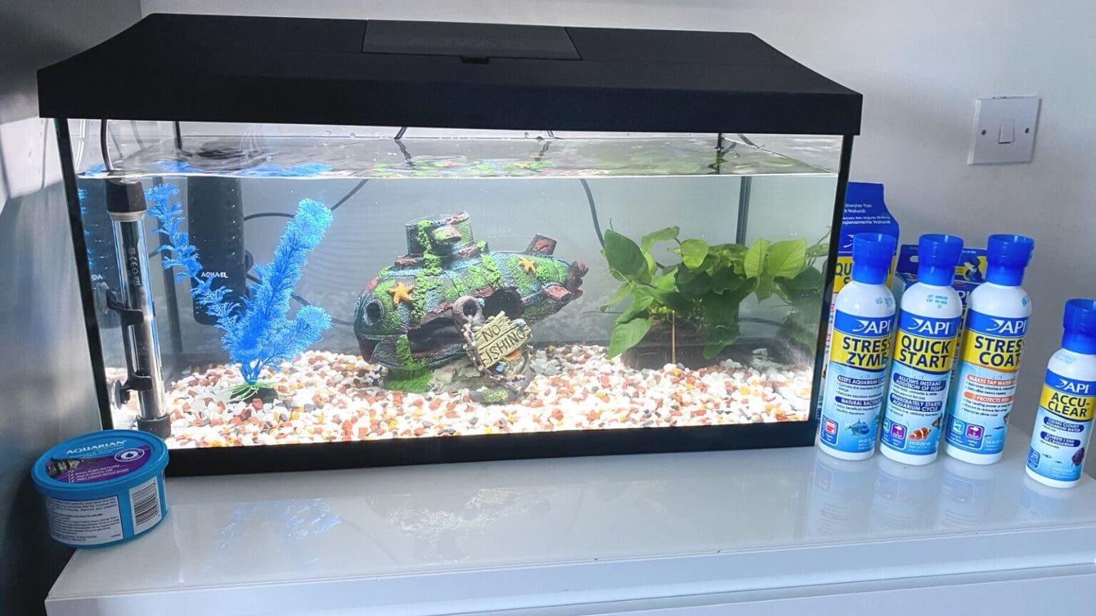 The benefits for Children of Owning Fish - Mum In The Madhouse