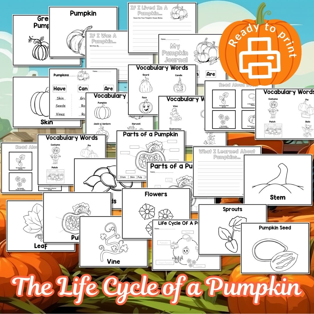 Free Pumpkin Life Cycle Printable Pack | Mum In The Madhouse